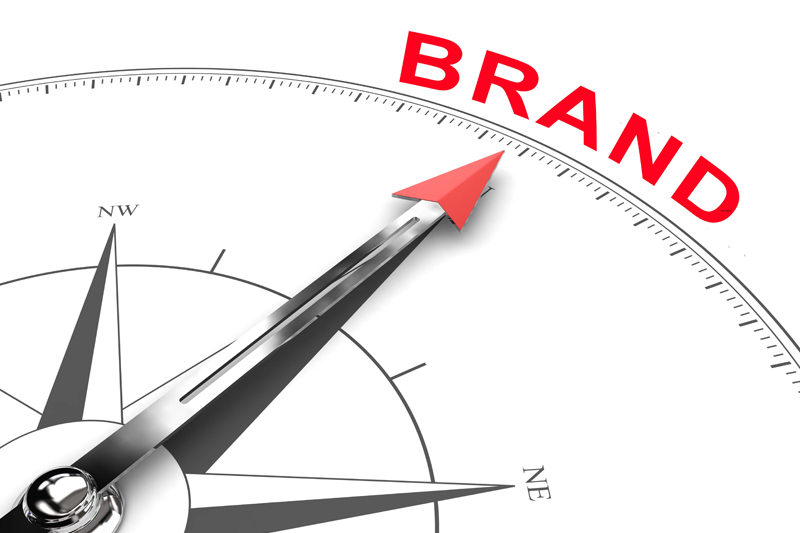 Culture is the Compass Guiding your Brand Belle Bear Marketing